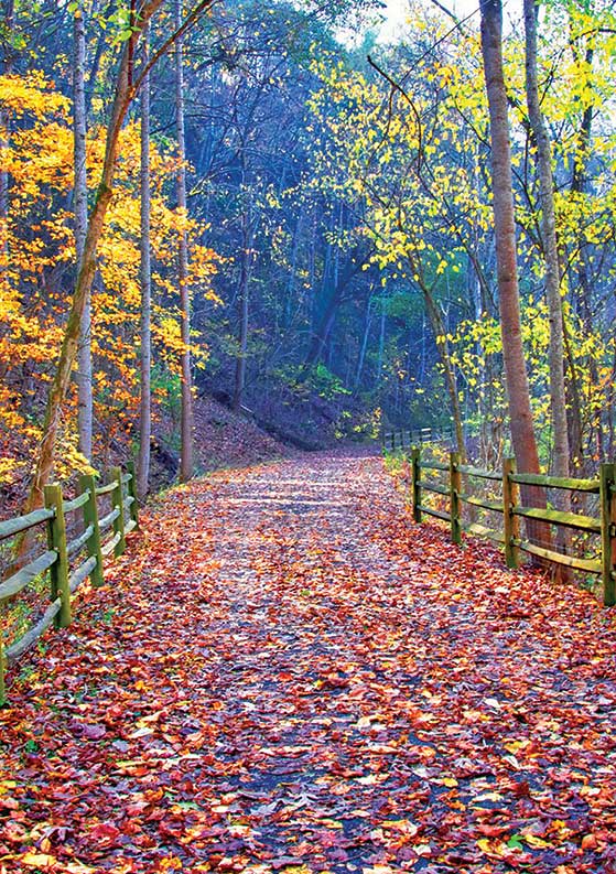 Trail Experience - Jackson River Scenic Trail